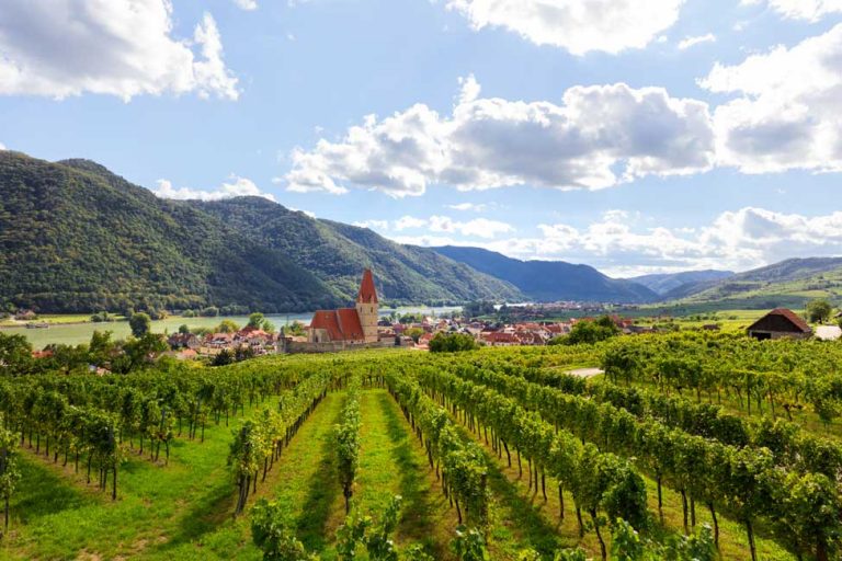 Wachau World Heritage Trail | Hiking on the Danube