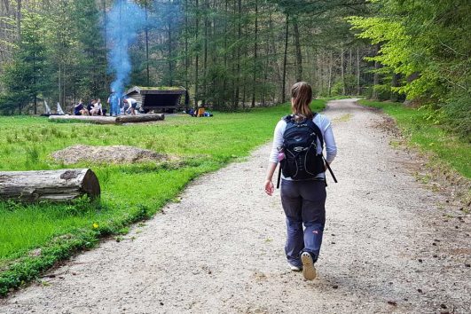 Hiking the Himmelbjerg route | Denmark's 'Sky Mountain'