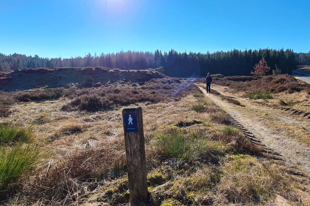 Hærvejen: Denmark's Camino - Hiking the 'Ancient Road'