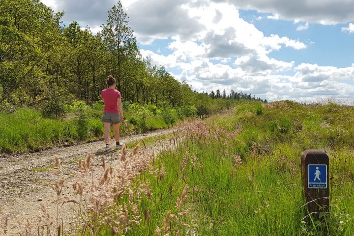 Hiking in Denmark | Wild Rover Travel | self guided walking holidays