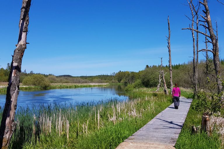 Hiking in Denmark | self-guided walking holidays
