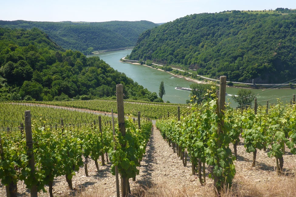 The Rheinsteig - Hiking along the Rhine