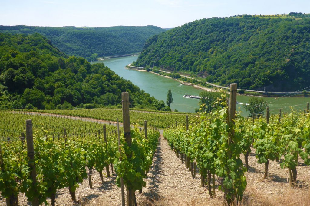 The Rheinsteig - Hiking along the Rhine