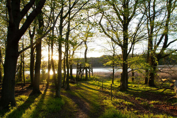 The Gendarme Path | Gendarmstien