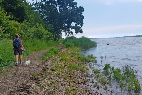 The Gendarme Path | Gendarmstien